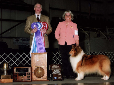 DC Tartanside Dream Wish HXAds, HXBd, HXCs